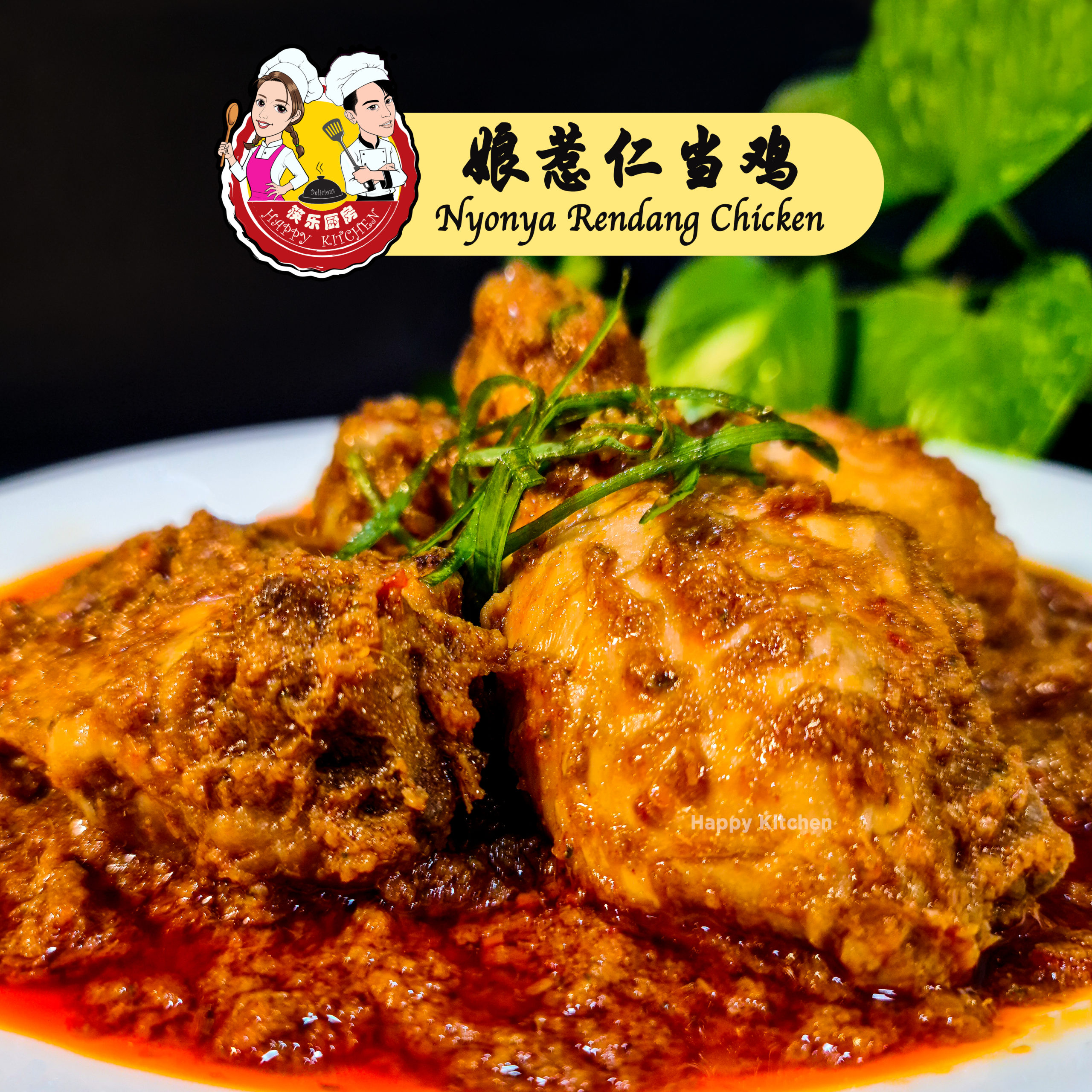 娘惹仁当鸡 Nyonya Rendang Chicken – JuruStore